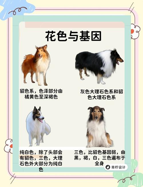 千牧是什么意思图标