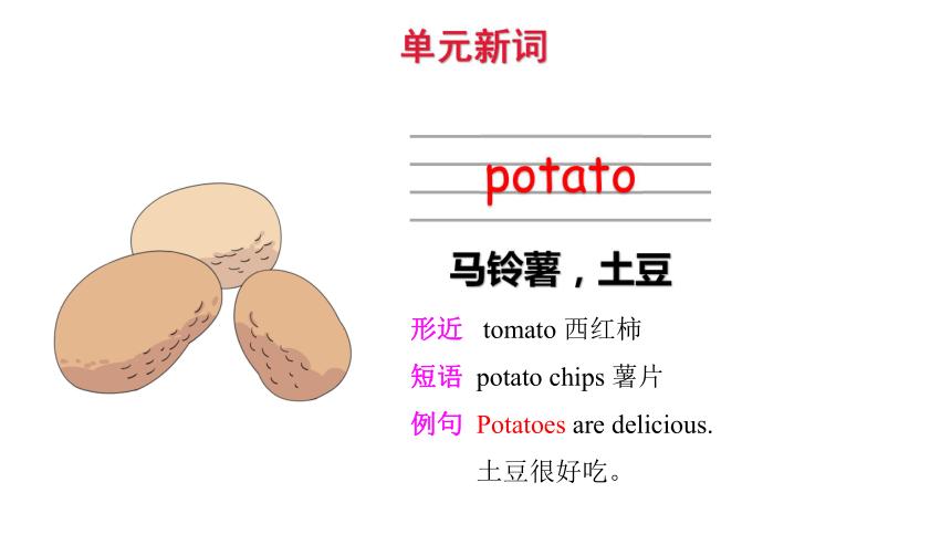 土豆英语tomato图标