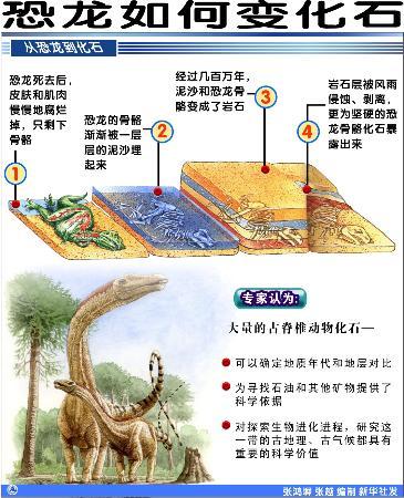 恐龙化石的形成过程图标