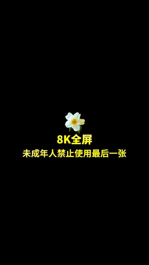 苹果14关闭自动换壁纸
