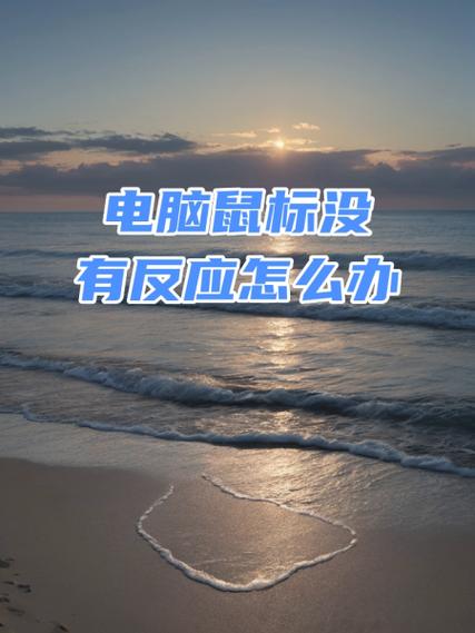 电脑鼠标没有反应