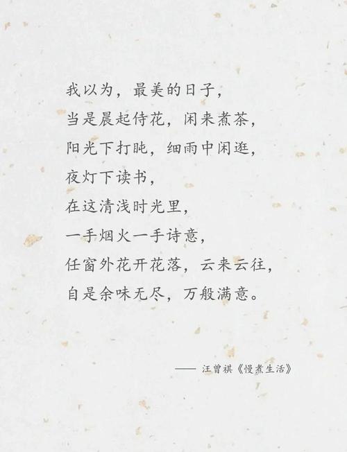每日精选美文图标