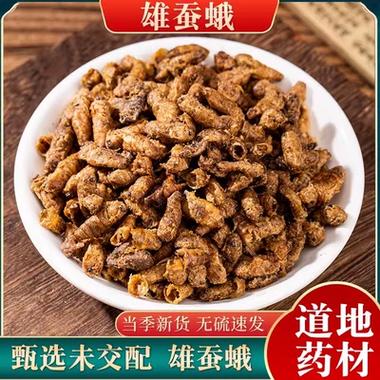 雄蚕蛾的功效与作用