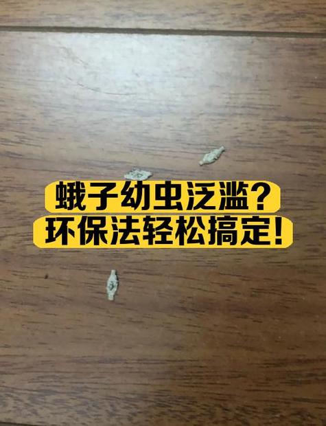 如何消灭家里的飞蛾小妙招图标