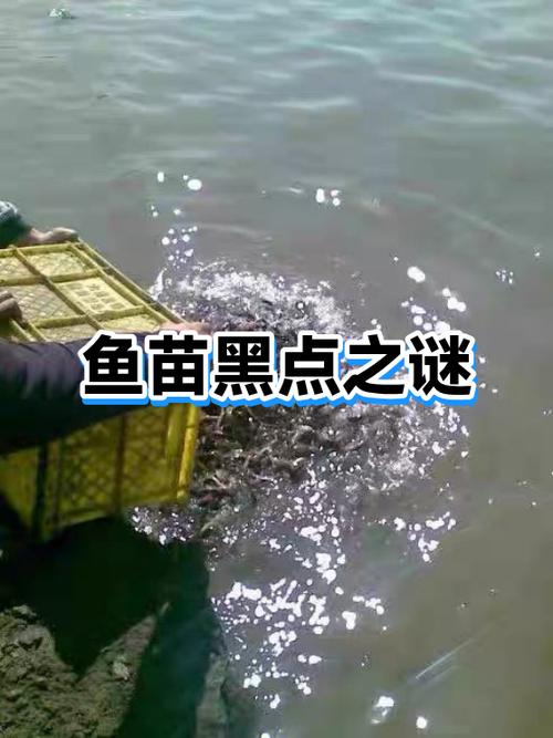 苹果屏幕两边有6个黑点图标