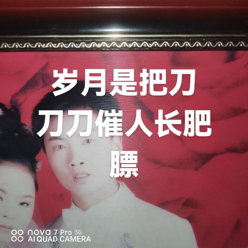 用杀猪刀比喻岁月的句子图标