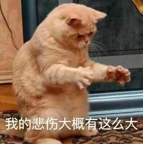 男生说emo了是什么意思图标