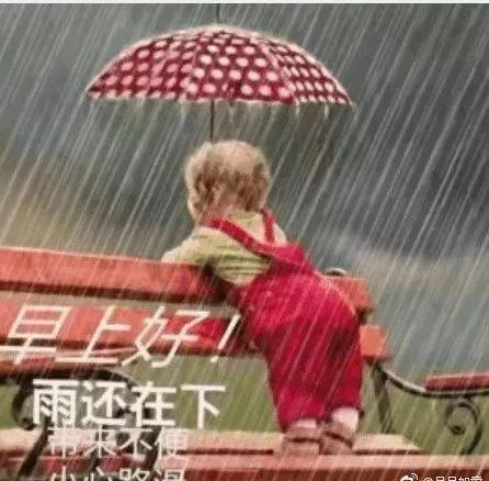 下雨网络用语 什么意思截图