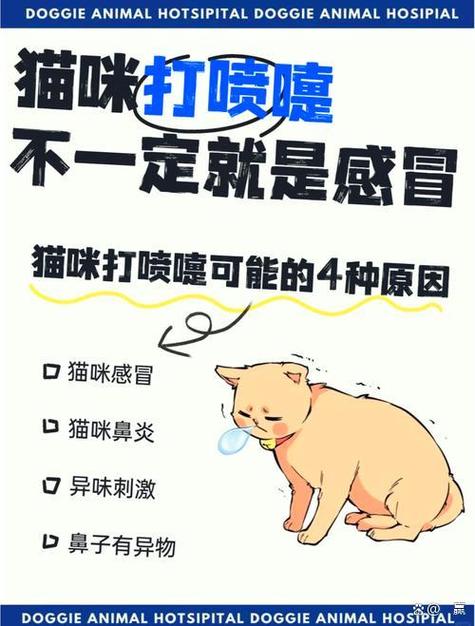 猫打喷嚏是怎么回事截图