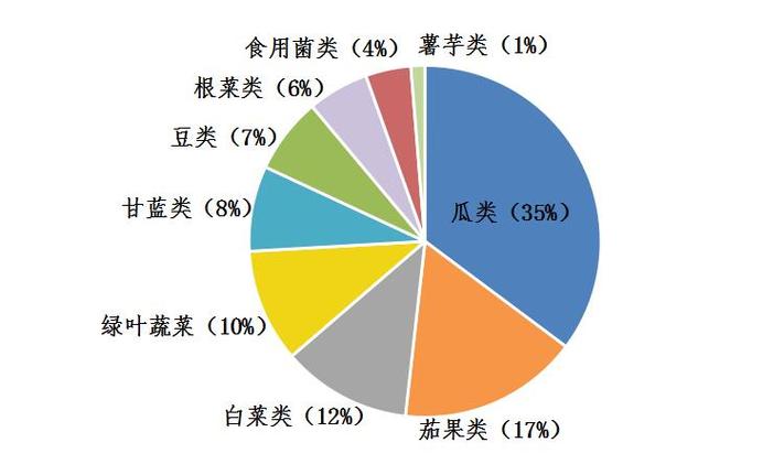 有机蔬菜的市场现状图标