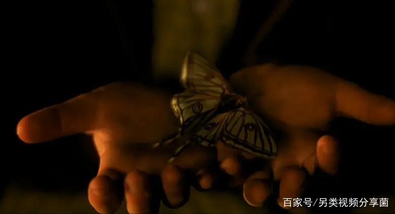 《蝴蝶》电影完整版日本图标
