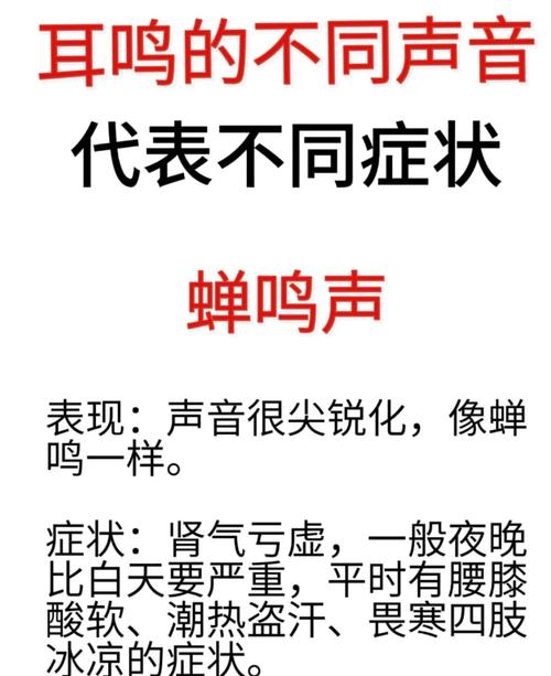 耳朵能听到的声音录音机却录不到图标