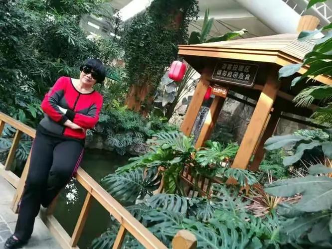 南宫植物园门票60岁老人免费吗图标