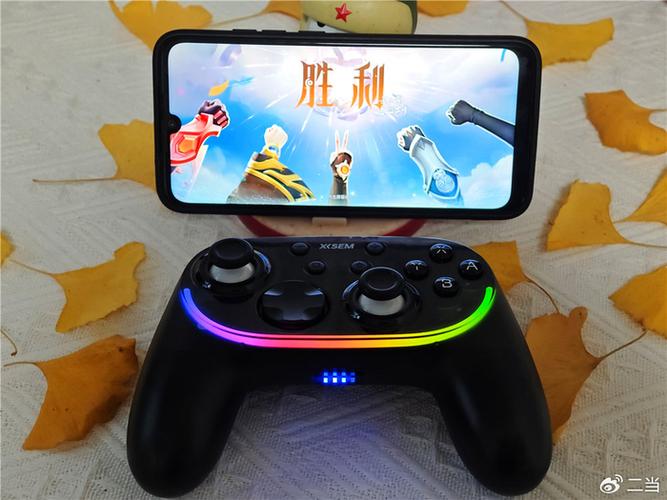 ps4能用其他手柄吗图标