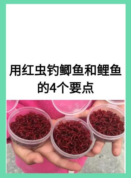 红虫假饵钓鱼技巧图标