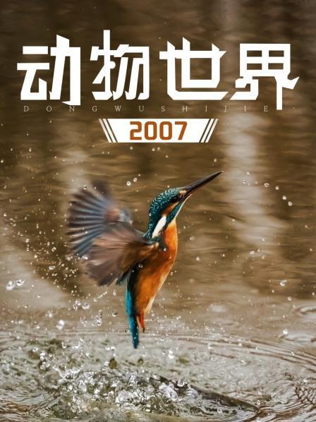 动物世界纪录片