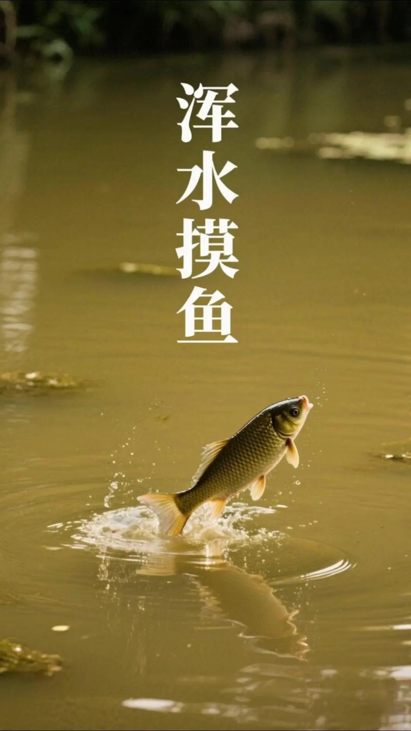 浑水摸鱼下一句截图