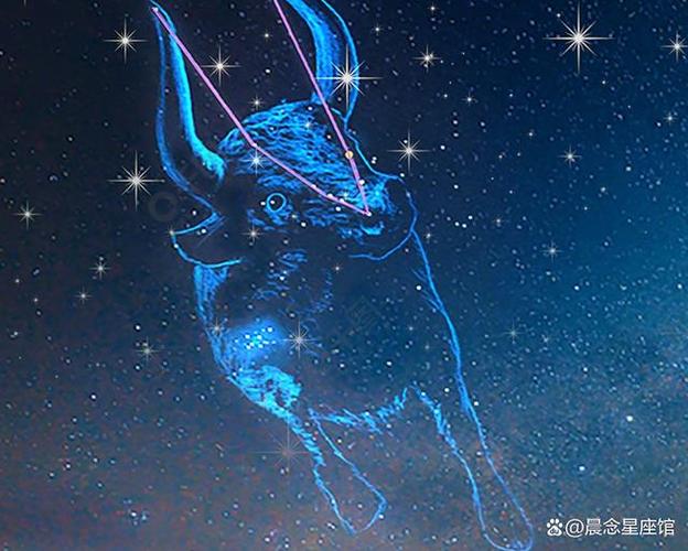 金牛座有什么用图标
