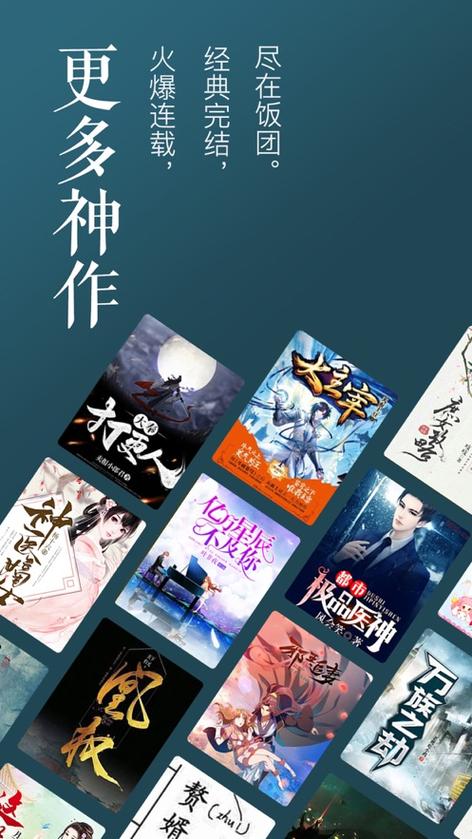 饭团小说旧版图标