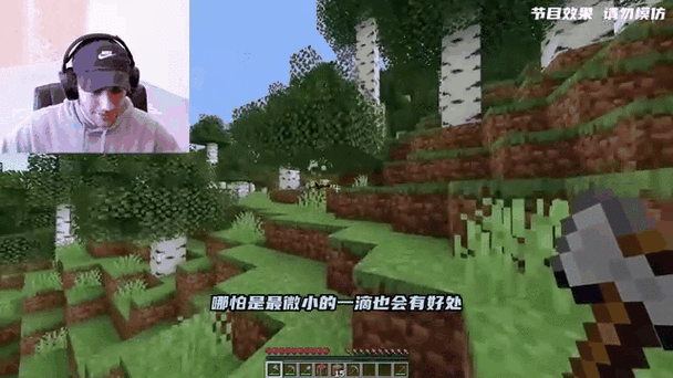 我的世界蜜蜂死了还会刷吗截图
