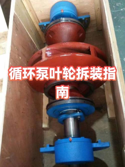 循环泵的拆卸视频图标
