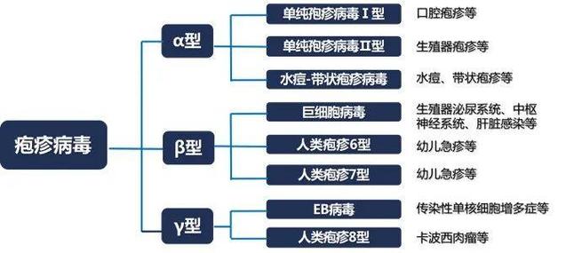病毒分为哪三类图标