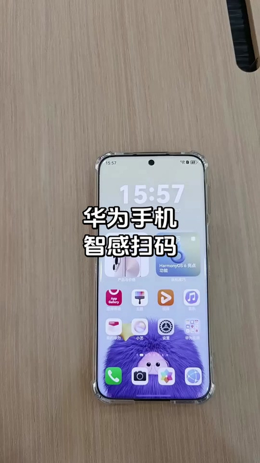 华为手机有面容支付吗图标