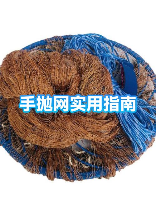 抛网多少钱一张图标