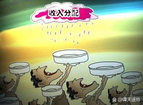 什么是分配性政策截图