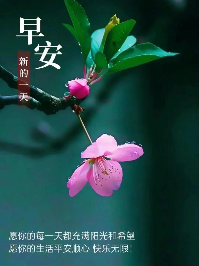 女孩上班累怎么安慰她图标