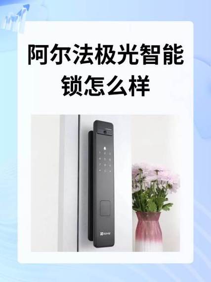 阿尔法门锁管理员密码