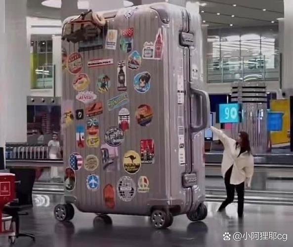 捡了个行李箱带回家好吗图标