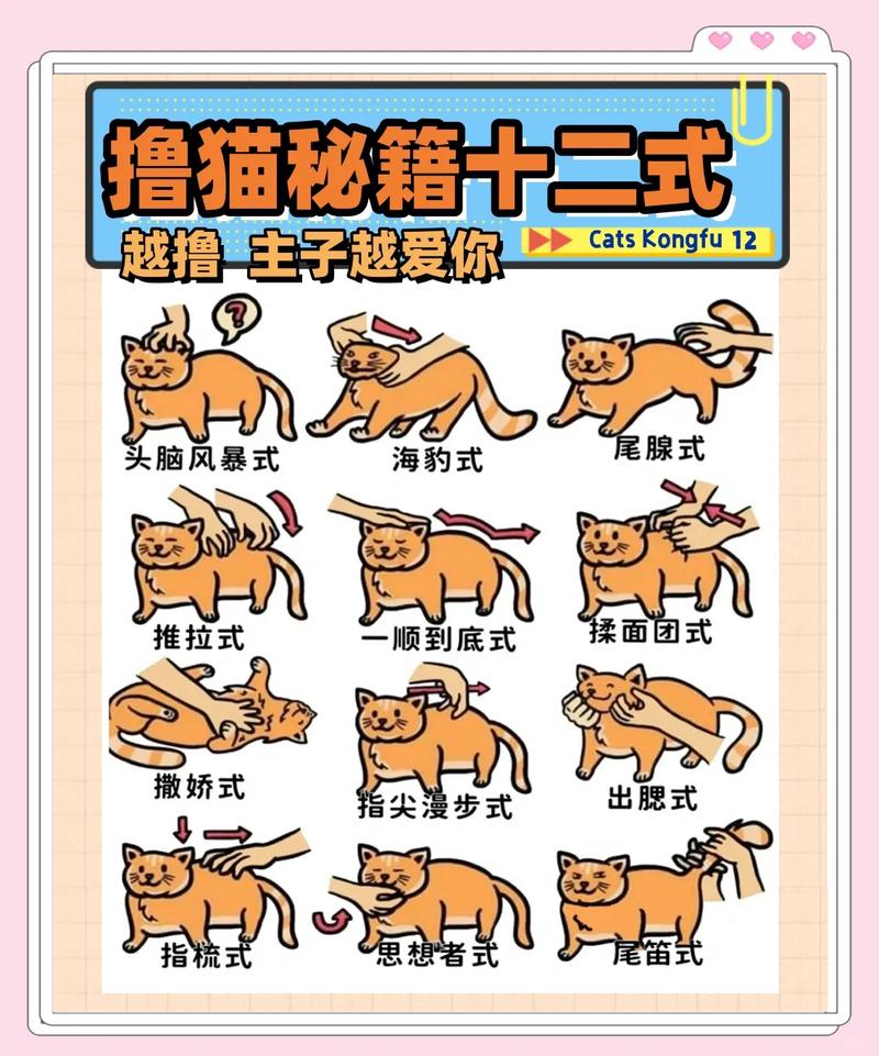 贺峻霖宠着严浩翔图标