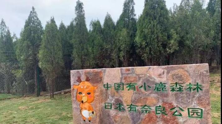 云上牧场在哪儿图标