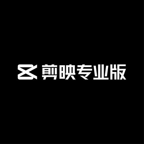 车300专业版官方下载