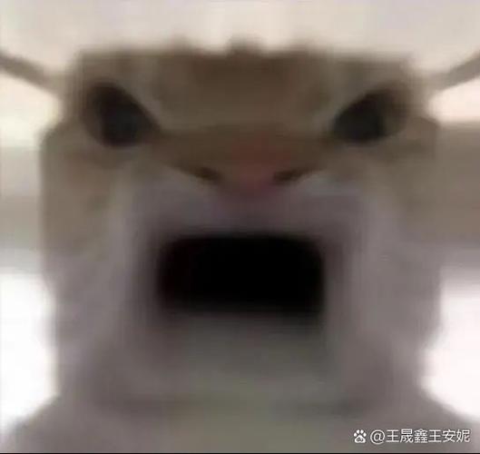 最新表情包图标