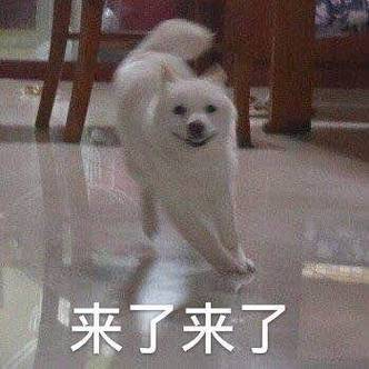 来了来了表情包图标