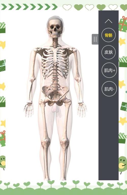 3dbody哪个版本好图标