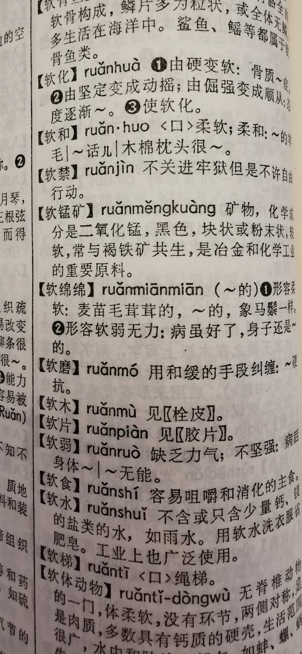 绵绵的读音截图