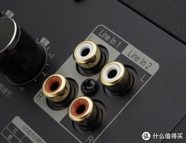 音箱的线输入接口是什么样子的?照片截图