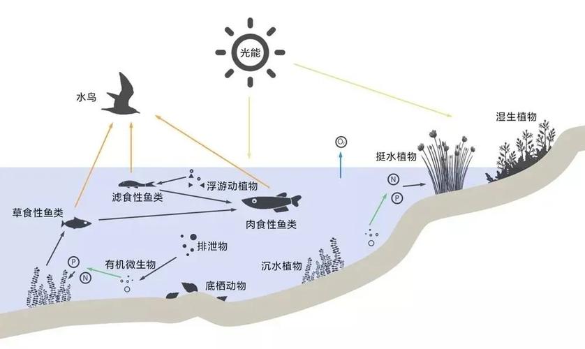 生态系统的特点截图