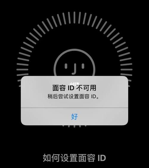 此iphone无法激活面容ID截图