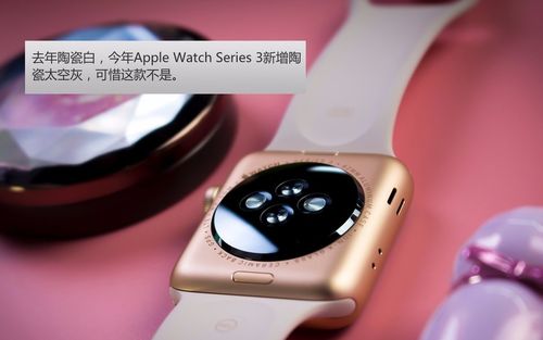 苹果手表可独立通话吗图标