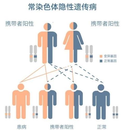支付宝性别能伪装图标