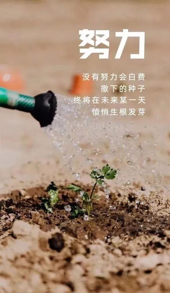 正能量语录短句图标