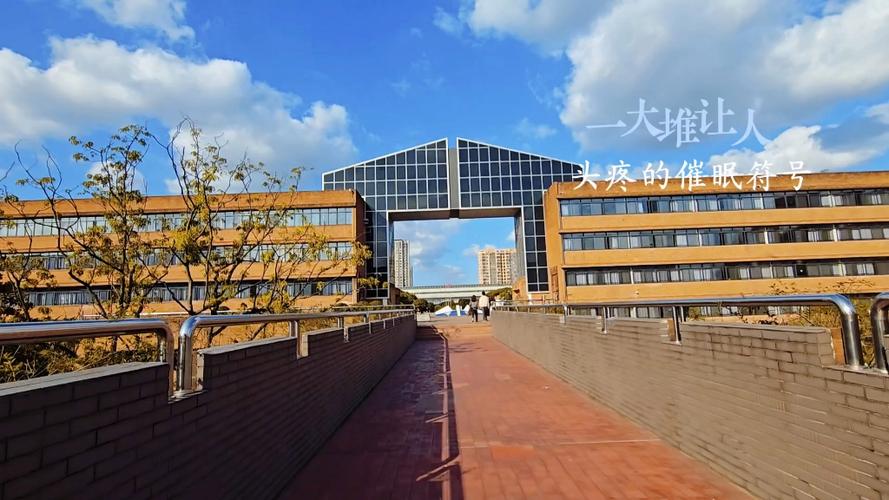 我的大学生活精彩片段图标