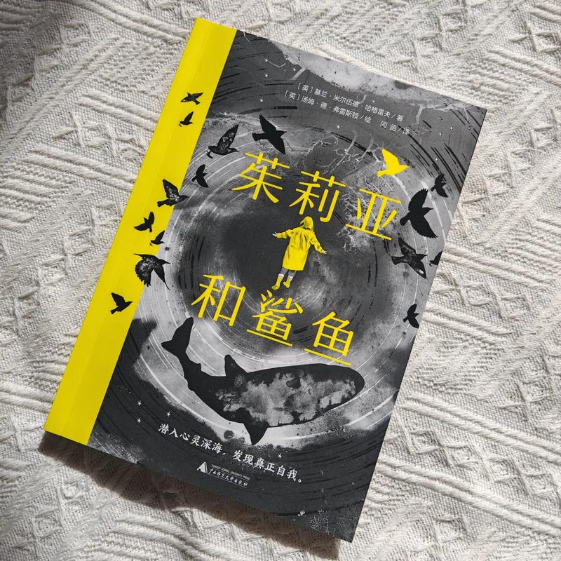 鲨鱼小说图标