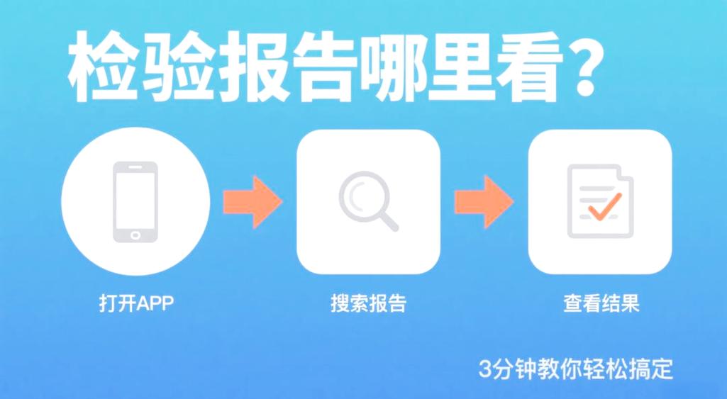 检测报告怎么查询截图