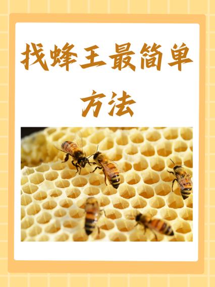 找蜂王最简单方法图标