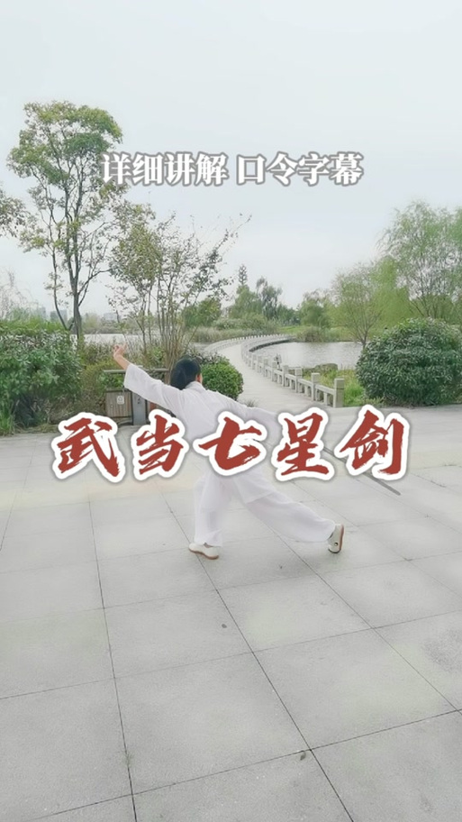 武当七星剑33式教学图标